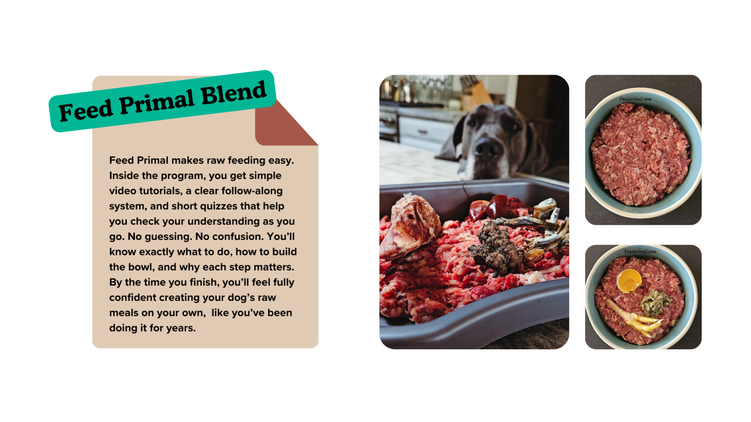 Feed Primal to Transform Your Dog’s Life!